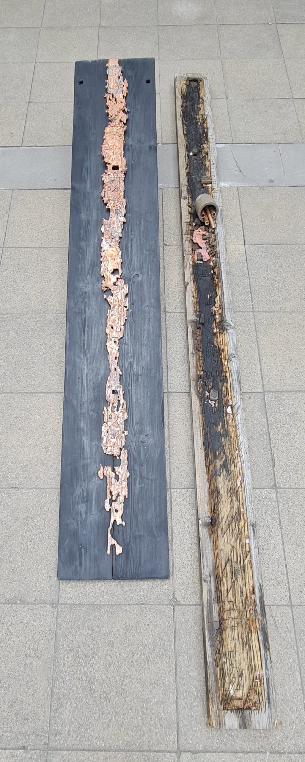 Copper Bark – GSA Showcase 2021