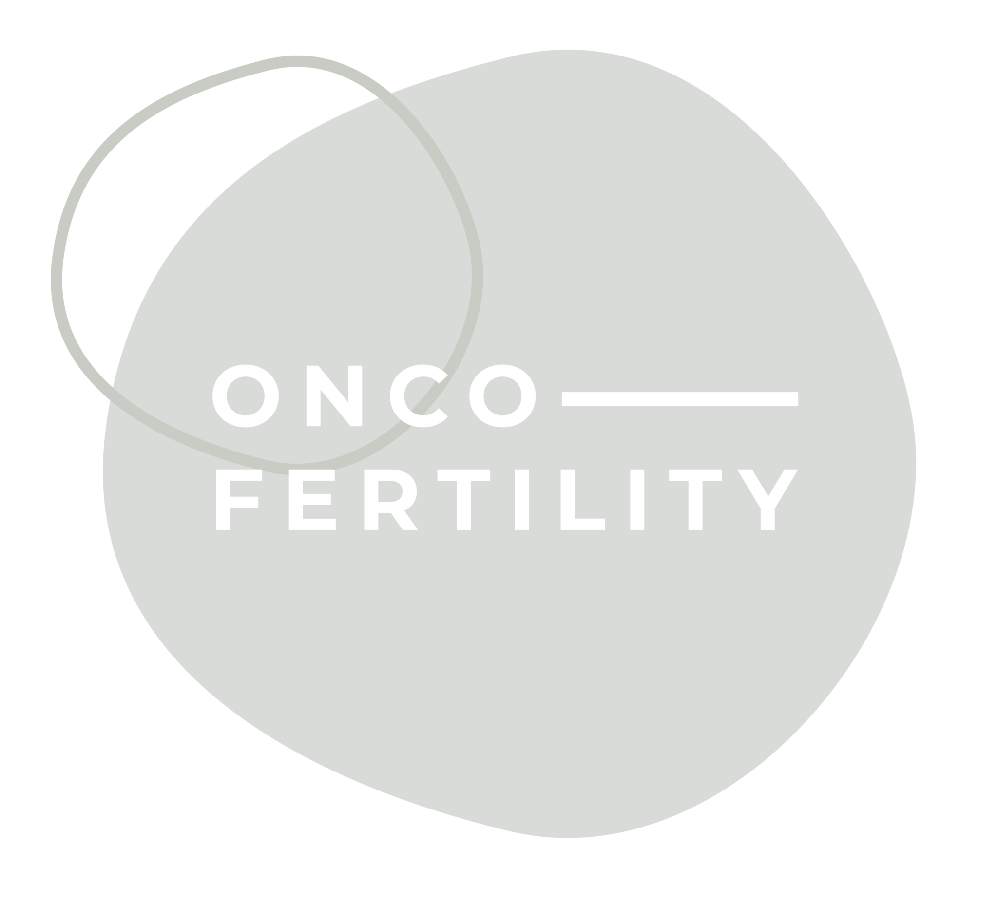 MSc Medical Visualisation & Human Anatomy – GSA Postgrad Showcase 2021